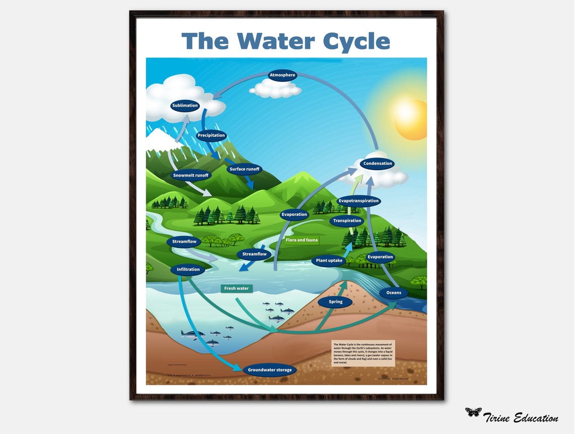 The Water Cycle Science Poster, Earth Science Poster, Educational ...