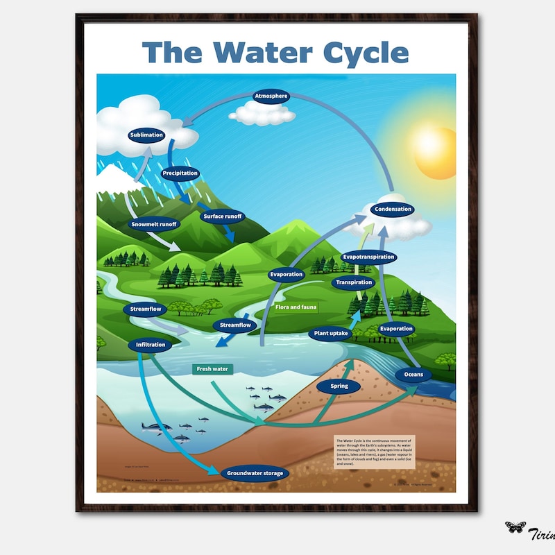 Water Cycle Poster - Etsy UK
