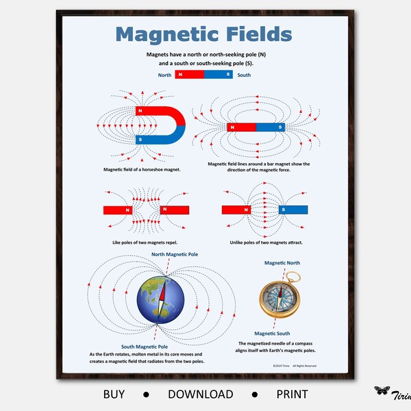 Science Poster - Etsy