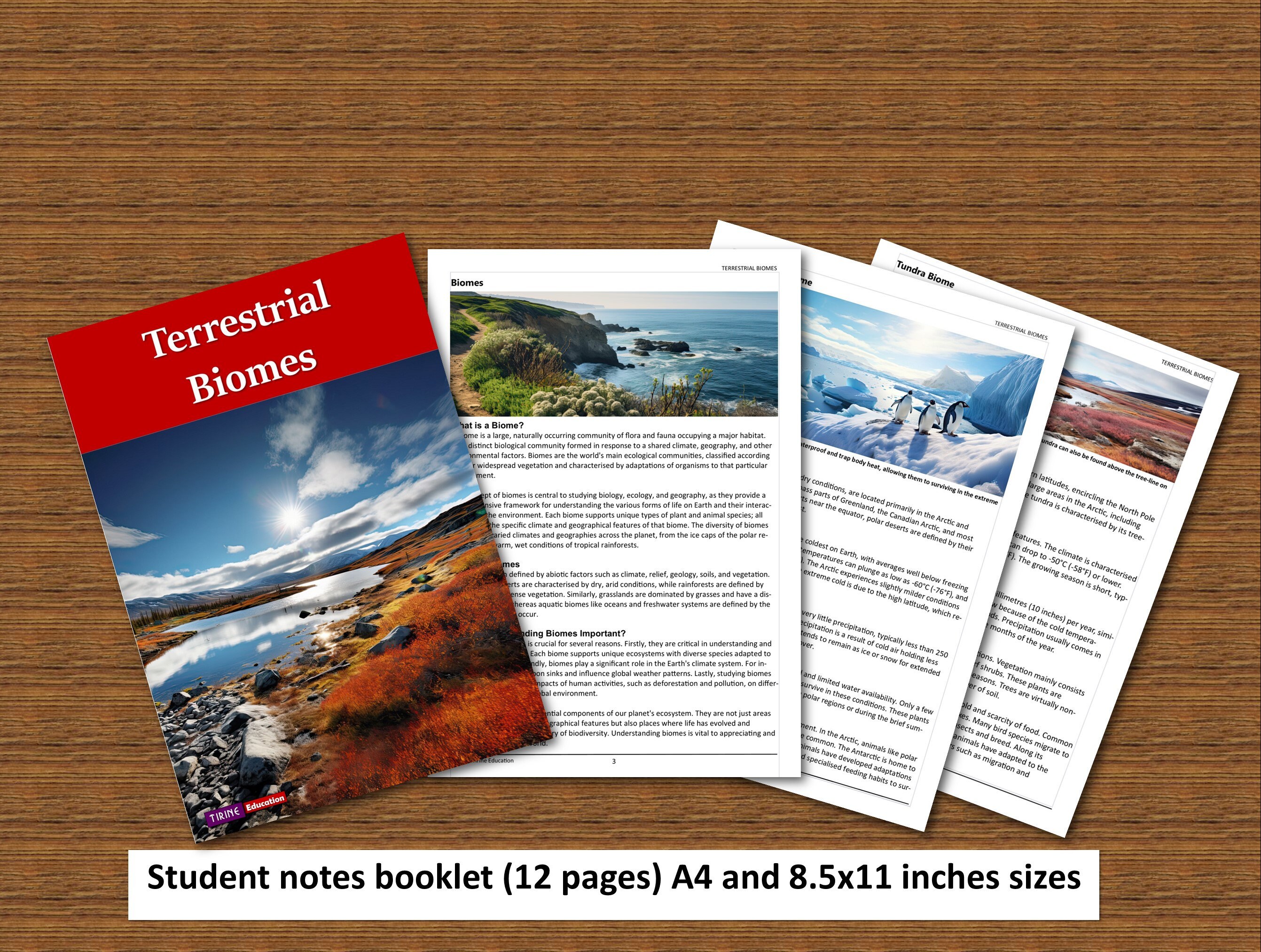 Terrestrial Biomes Classroom Display Set, Biology Posters, Middle and ...