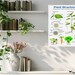 Plant Structure Poster, Science Biology, Middle School, High School ...