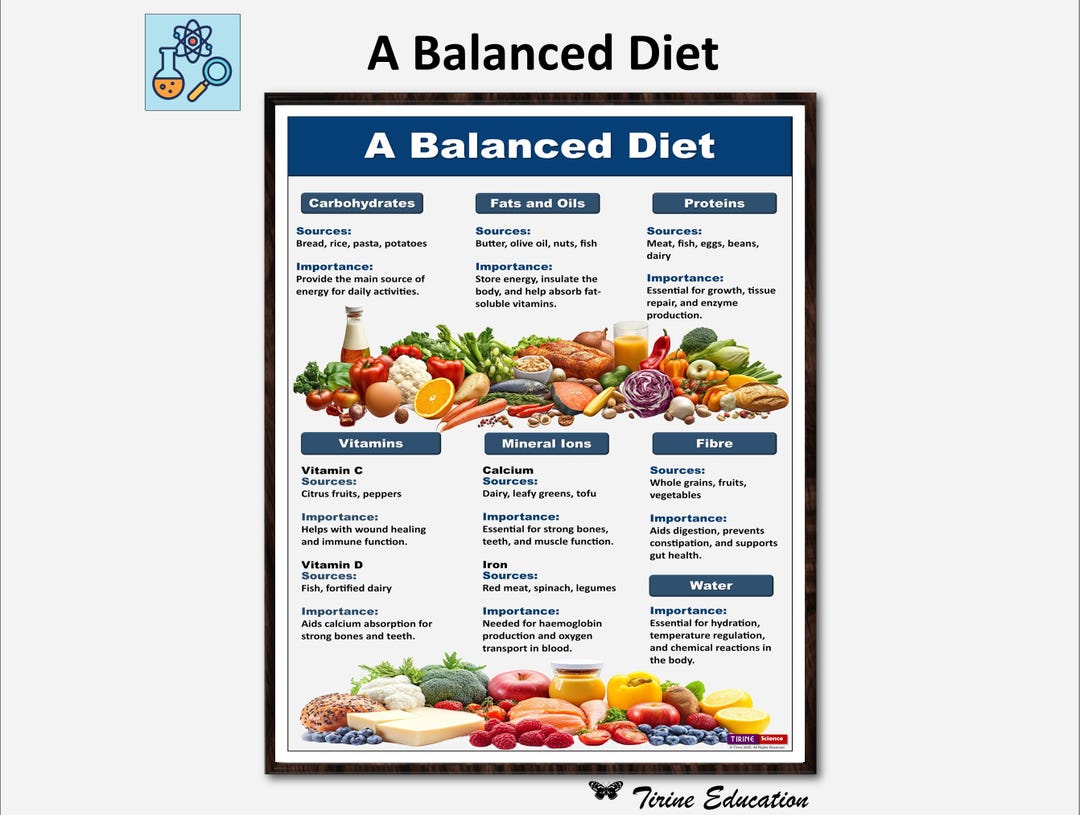Nutrition Science Poster: Balanced Diet & Human Body (digital Download ...