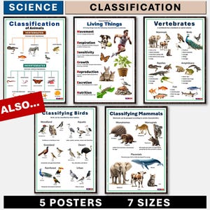 Vertebrates, Classification, Biology Science Poster, Junior Science ...