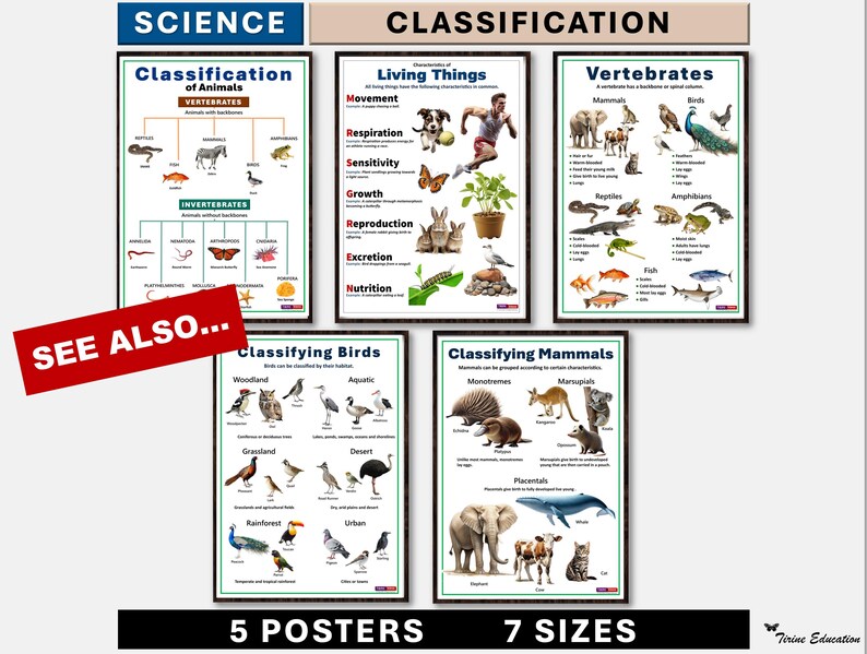 Vertebrates, Classification, Biology Science Poster, Junior Science ...