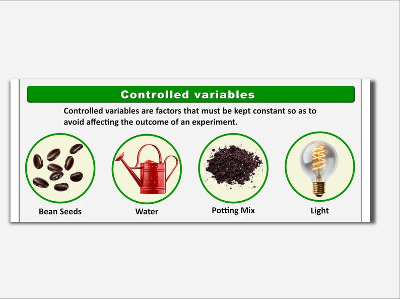 Fair Testing Science Poster, Variables in Experiments, Middle School ...