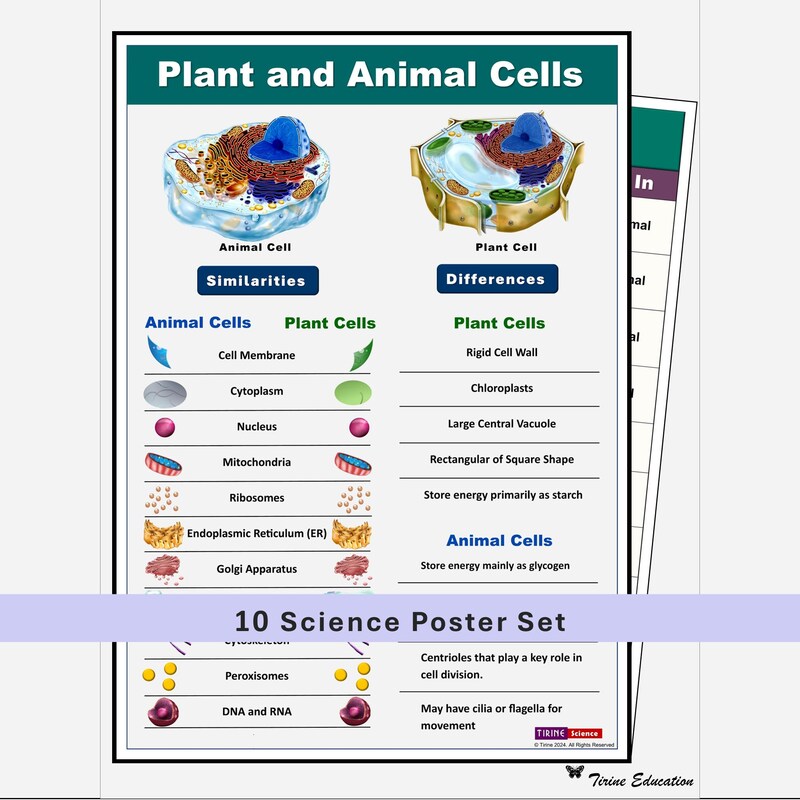 Science Cell Poster Art - Etsy UK
