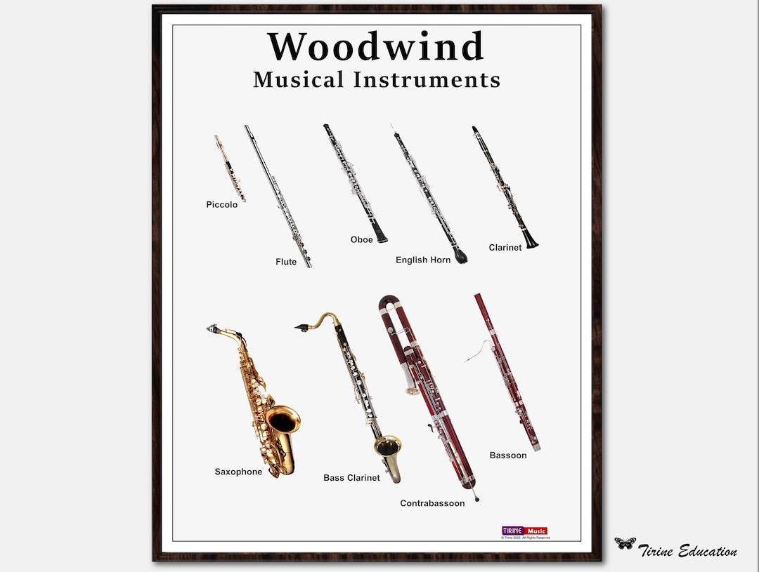 Woodwind Instruments, Poster, Flute, Clarinet, Oboe, Music, Orchestra ...