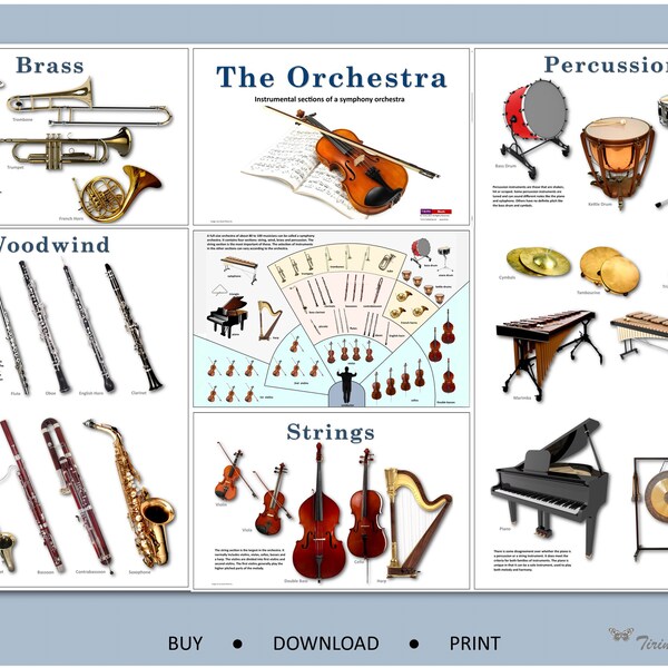 Orchestra Instrument Posters - Etsy