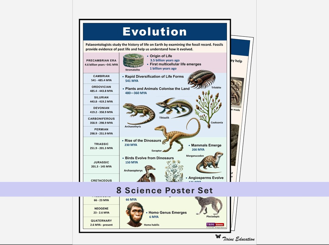 Science Classroom Posters, Evolution, Printable Biology Classroom Decor ...