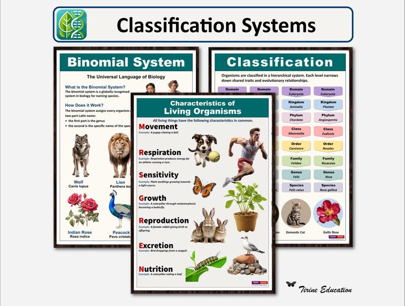 Classification Systems, 3 Posters, 7 Sizes, Biology, Science, Middle School, High School ...