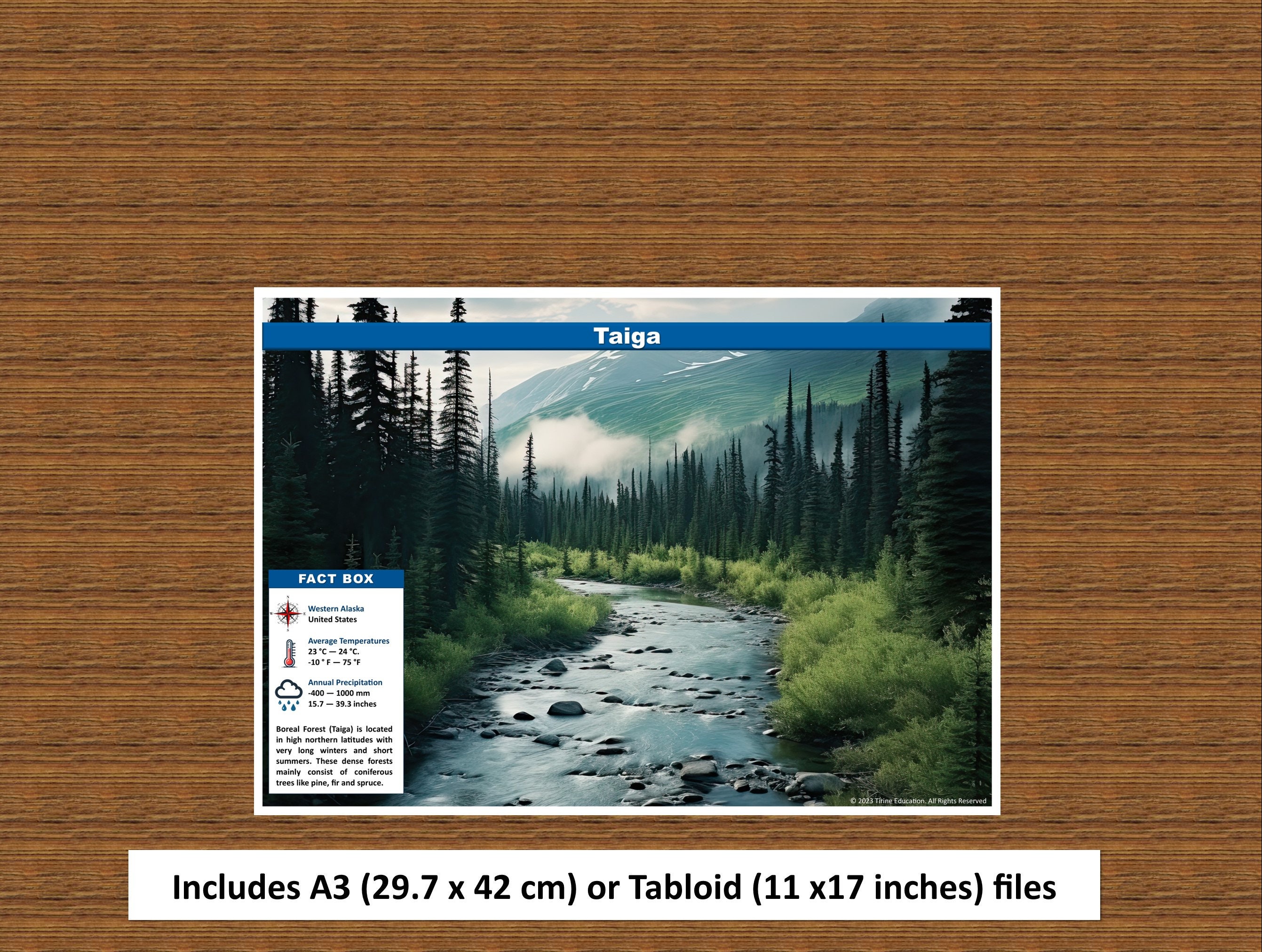 Terrestrial Biomes Classroom Display Set, Biology Posters, Middle and ...