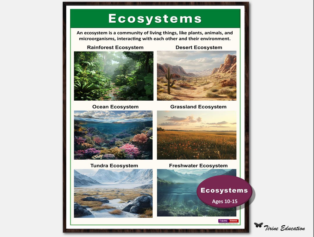 Types of Ecosystems Poster – Science Biology Classroom Decor ...