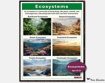 Innovation Ecosystem Poster - Etsy Canada