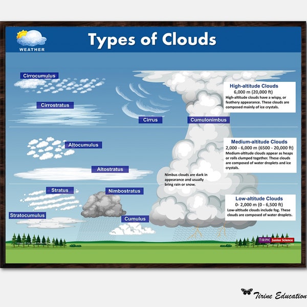 Types of Clouds Poster - Etsy