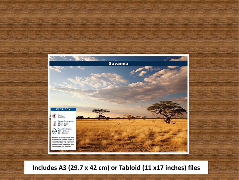 Terrestrial Biomes Classroom Display Set, Biology Posters, Middle and ...