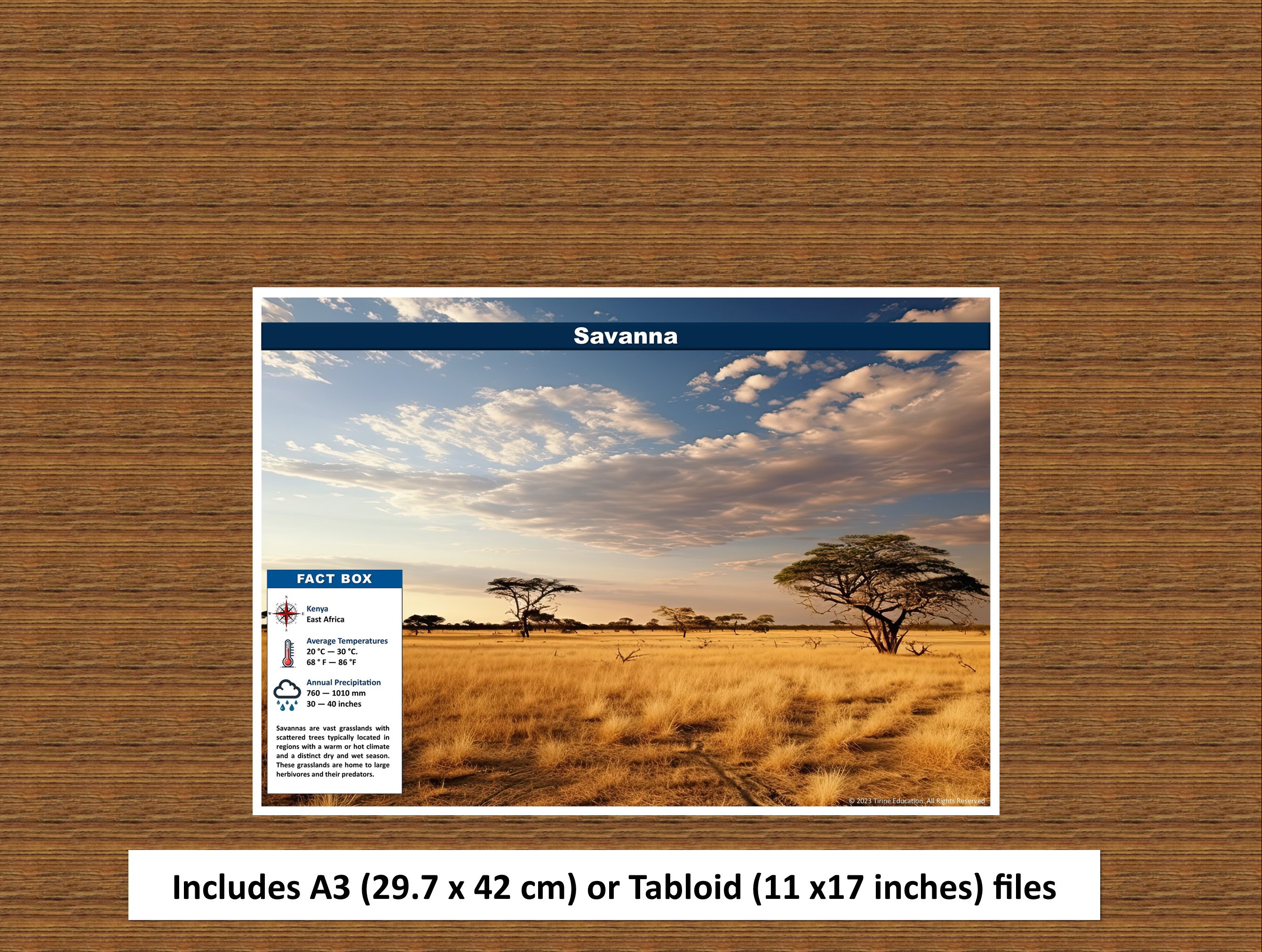 Terrestrial Biomes Classroom Display Set, Biology Posters, Middle and ...