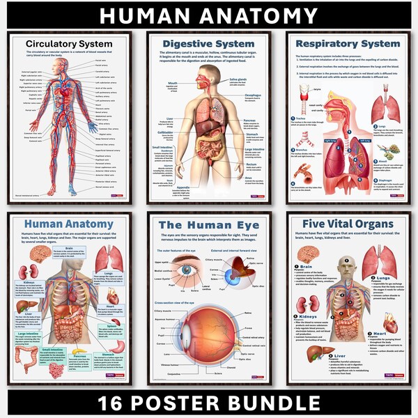 Poster - Etsy Norway