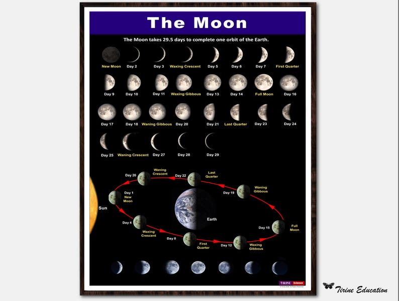 The Moon, Poster, Phases of the Moon, Science, Earth Science, Middle ...