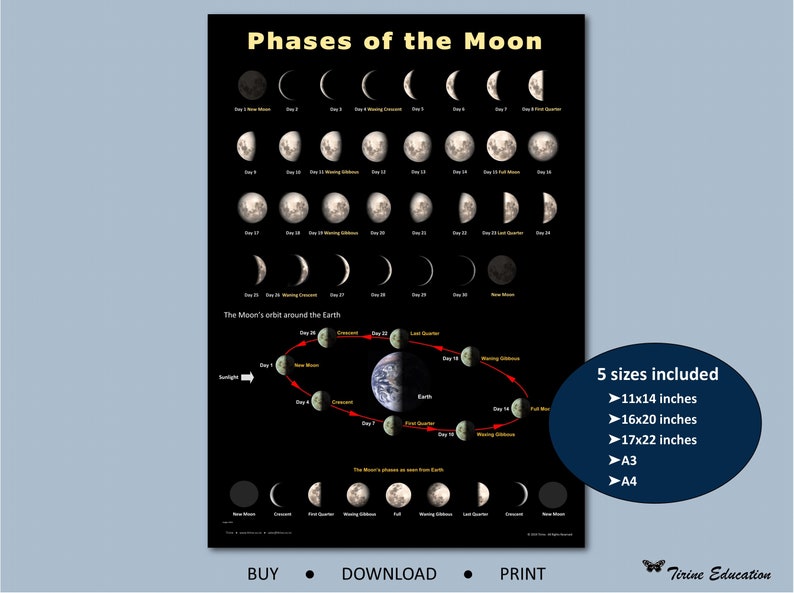 Phases of the Moon Poster, Earth Science Poster, Middle School, Grades ...