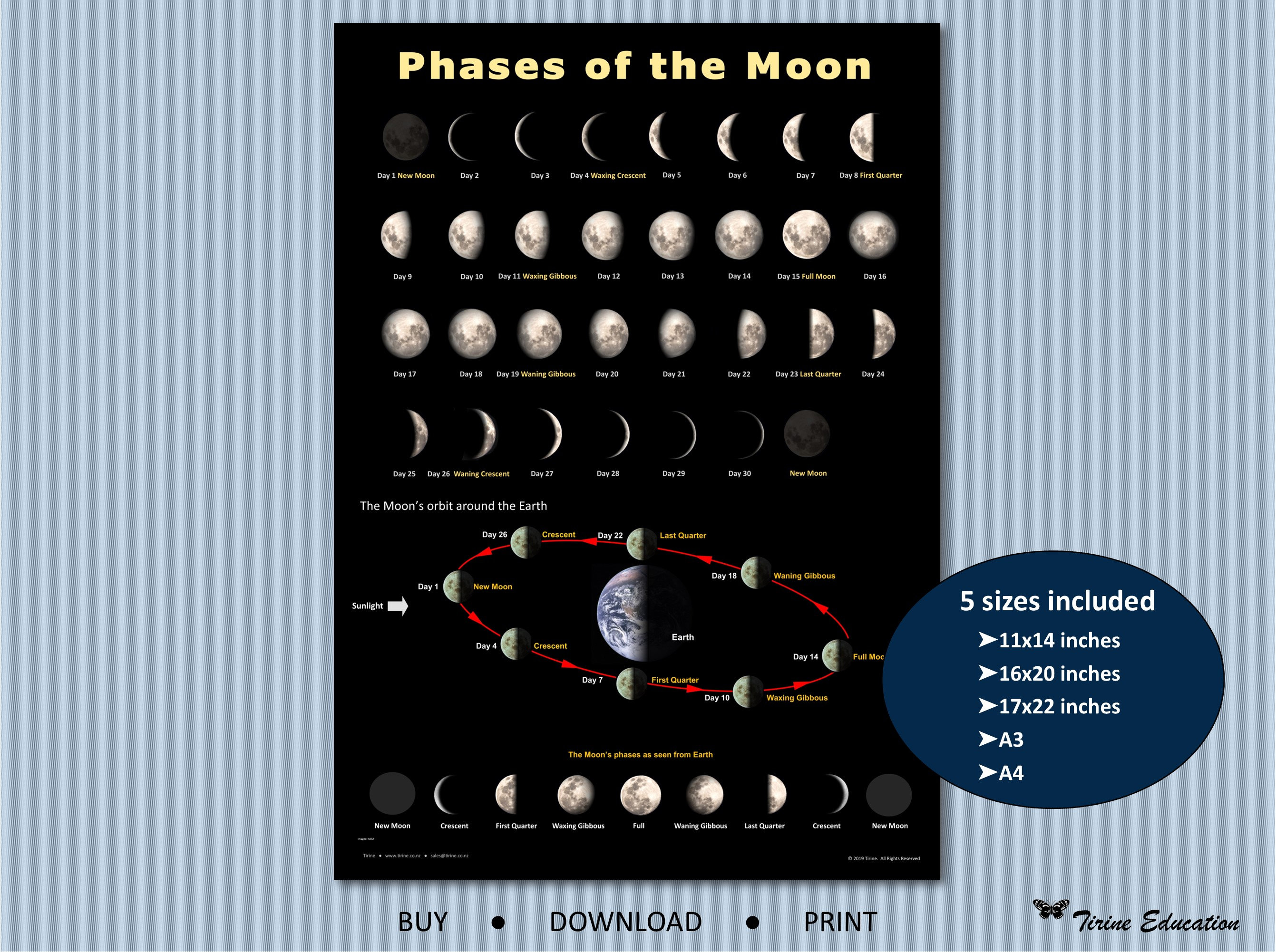 Phases of the Moon Poster, Earth Science Poster, Middle School, Grades ...