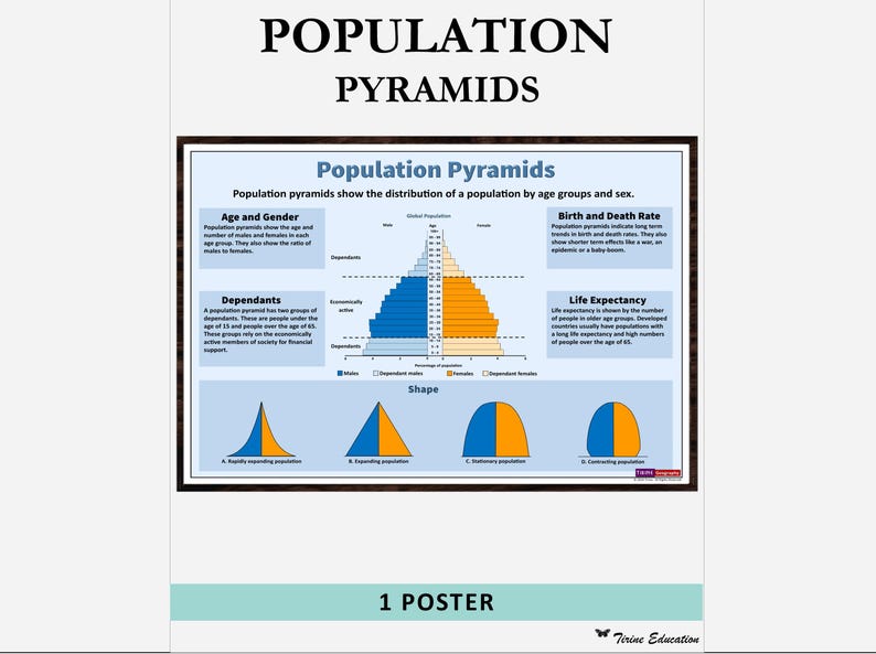 Population Pyramids Poster: Printable High School Geography Classroom ...