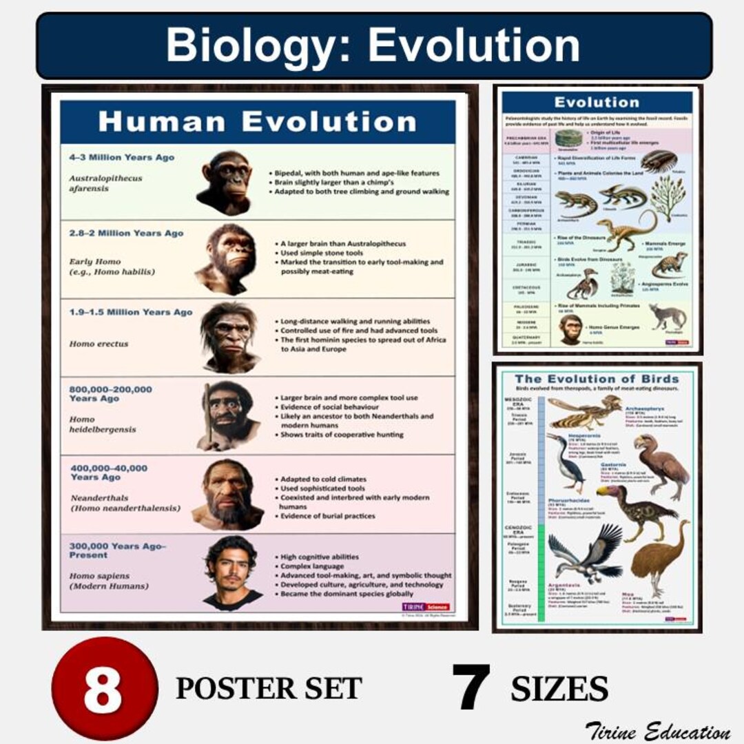 Biology Science Posters, Evolution, Human, Dinosaurs, Middle and High ...