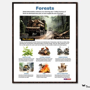 Environmental Science 6 Poster Set, High School Science, Science ...