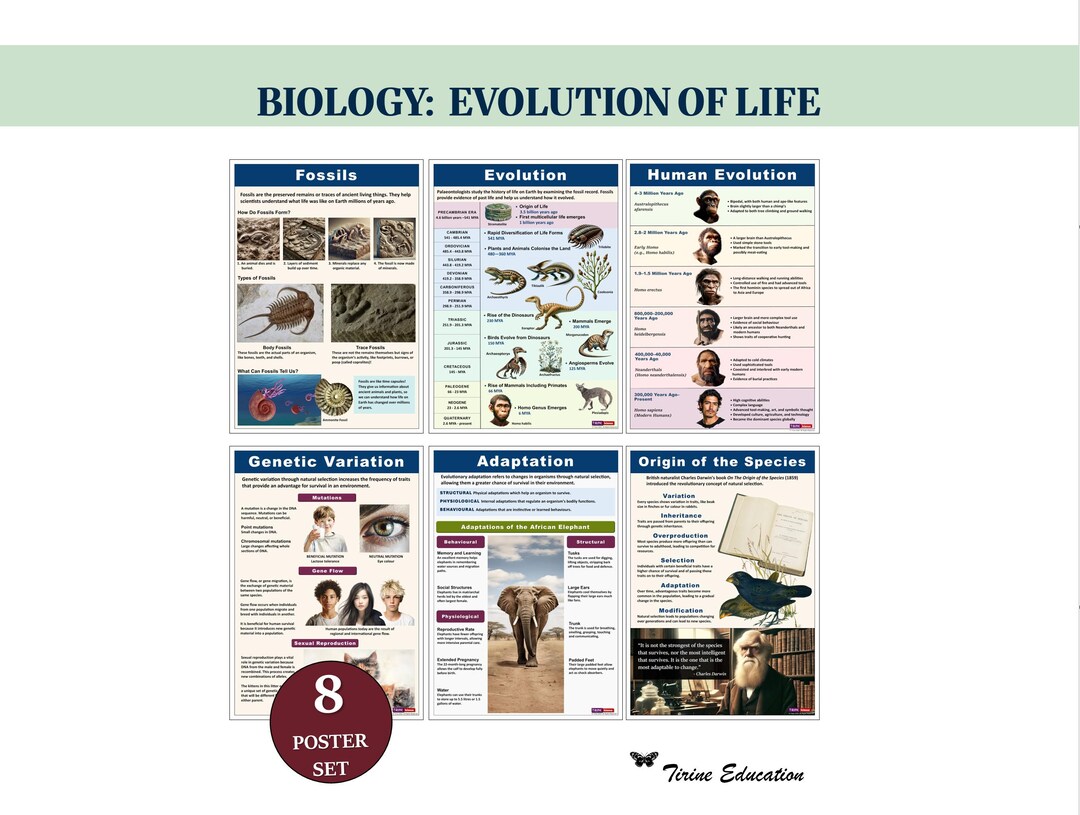 Evolution of Life Science Posters, Biology, Printable Middle & High ...