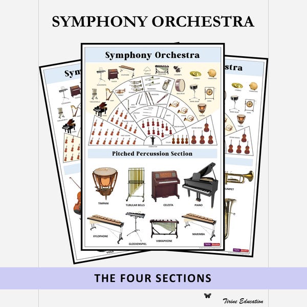 String Orchestra - Etsy