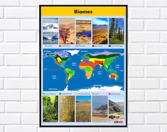 Biomes Posters - Etsy