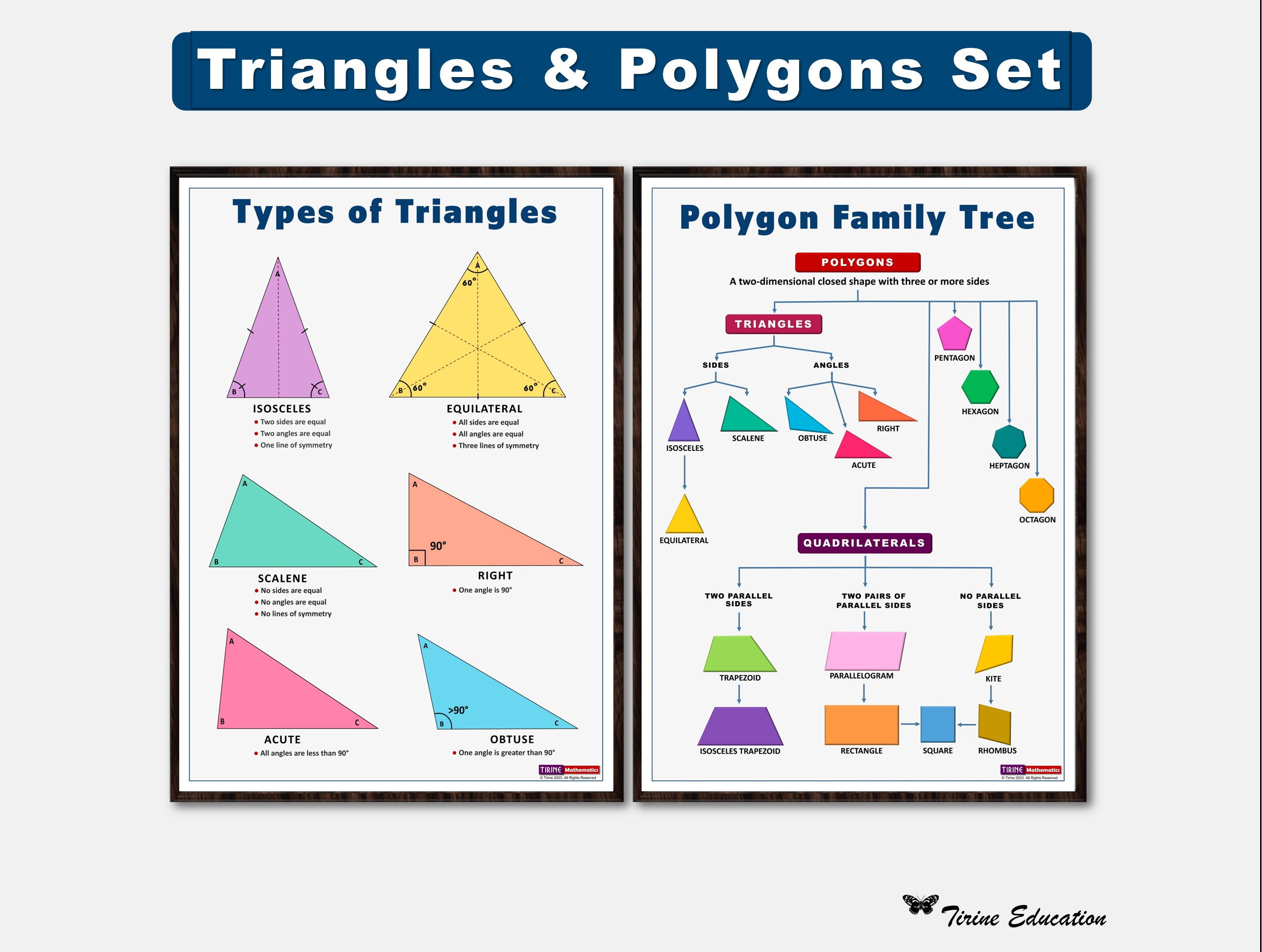 Types of Triangles Plus Polygons Poster Set, Printable Digital Poster ...