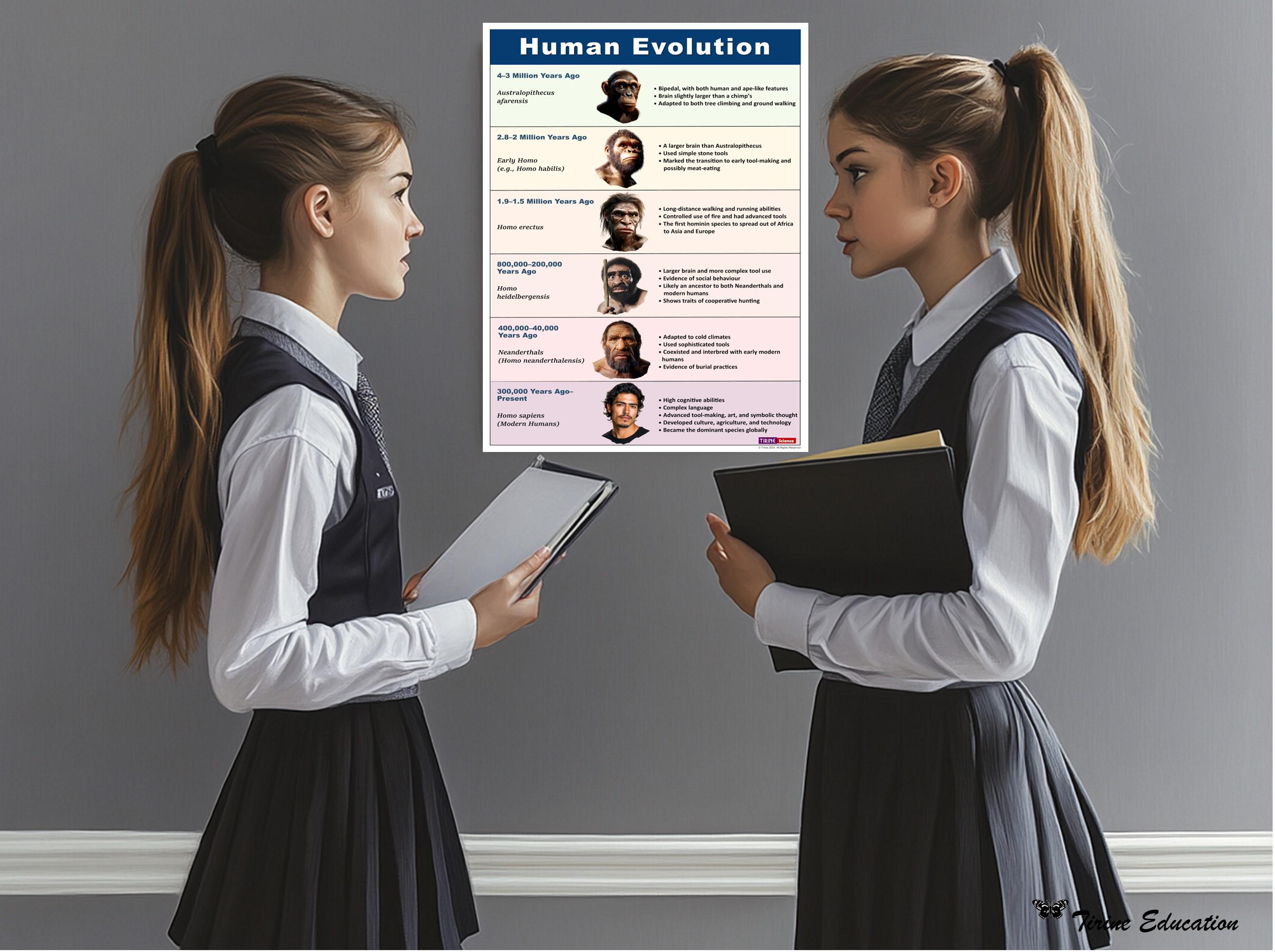 Human Evolution Science Poster – Printable, Digital, Science Classroom ...