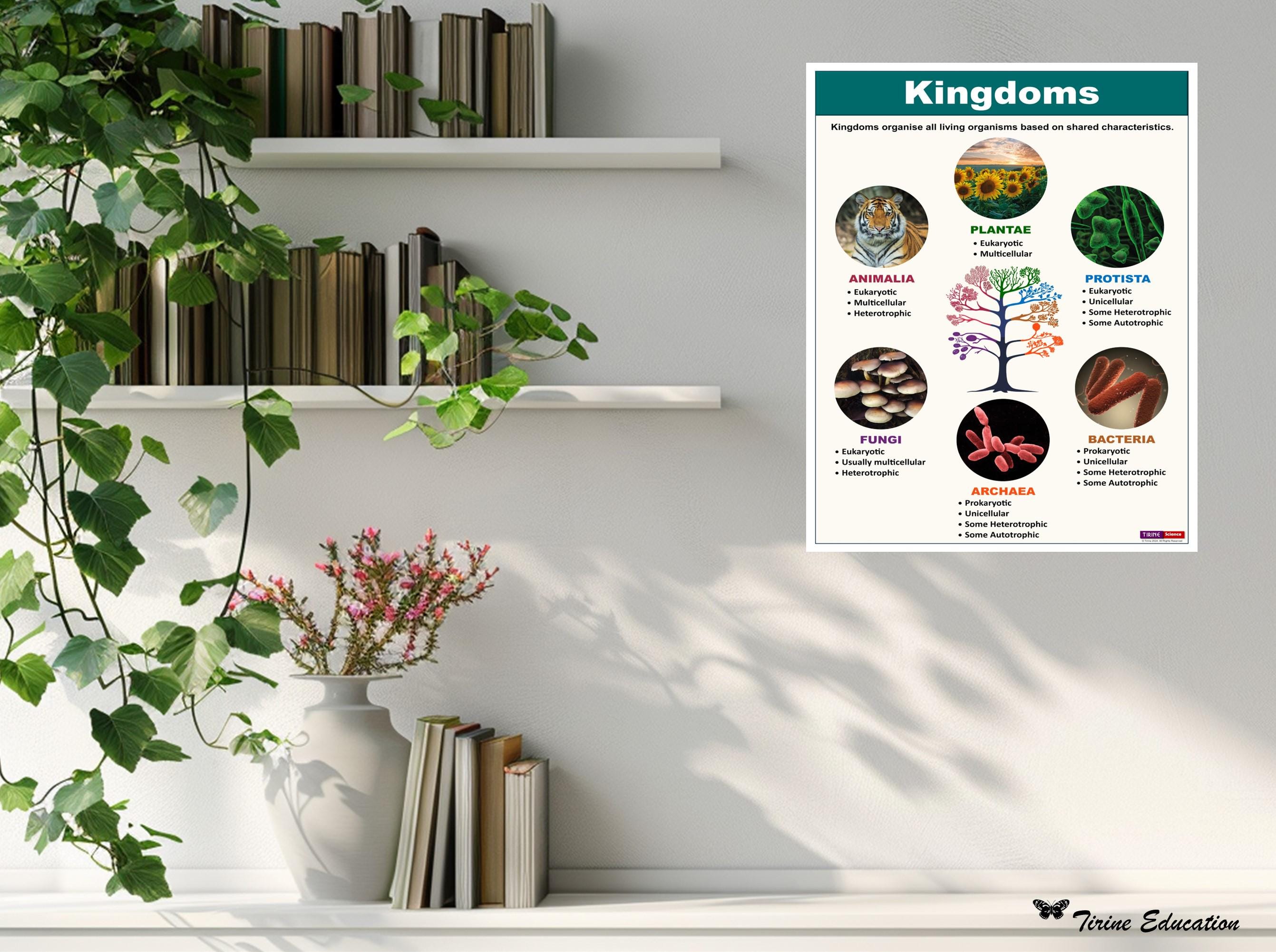 Biological Kingdoms Classroom Poster – Engaging Science Decor ...