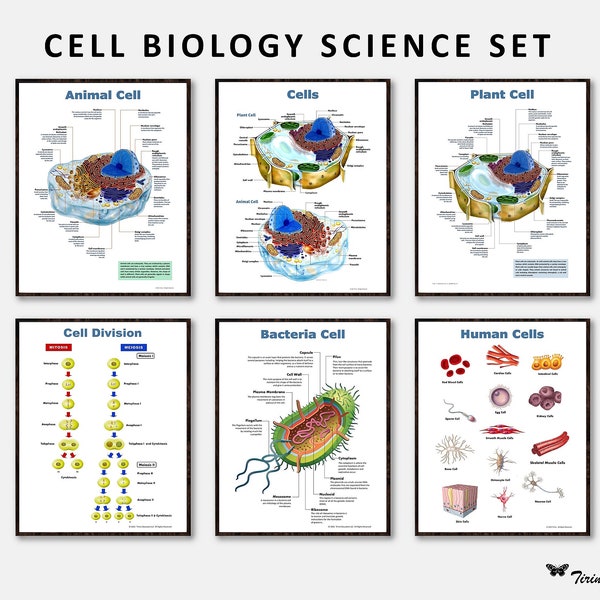 Science Poster - Etsy