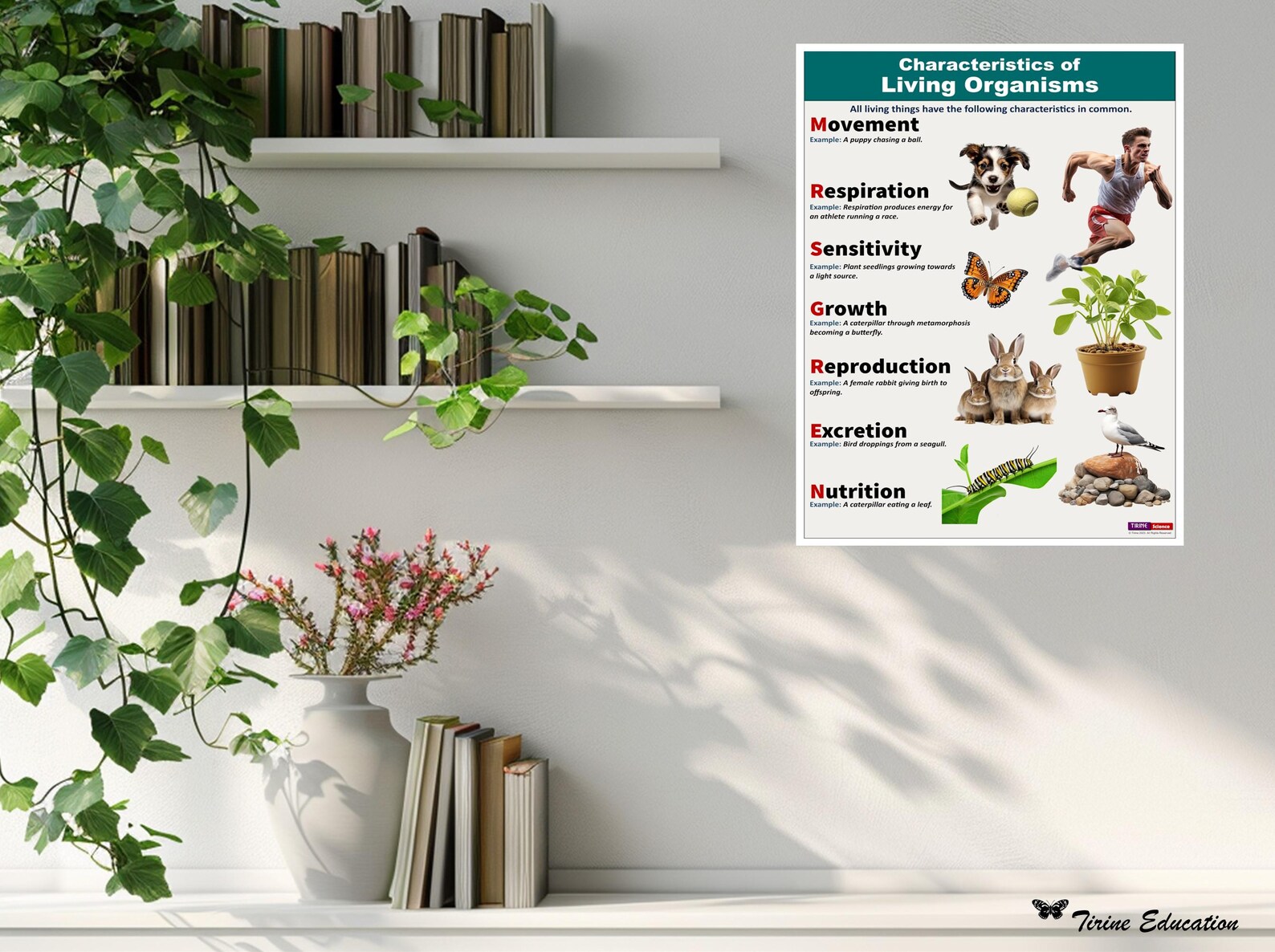 Characteristics of Living Organisms – MRS GREN Science Poster for ...