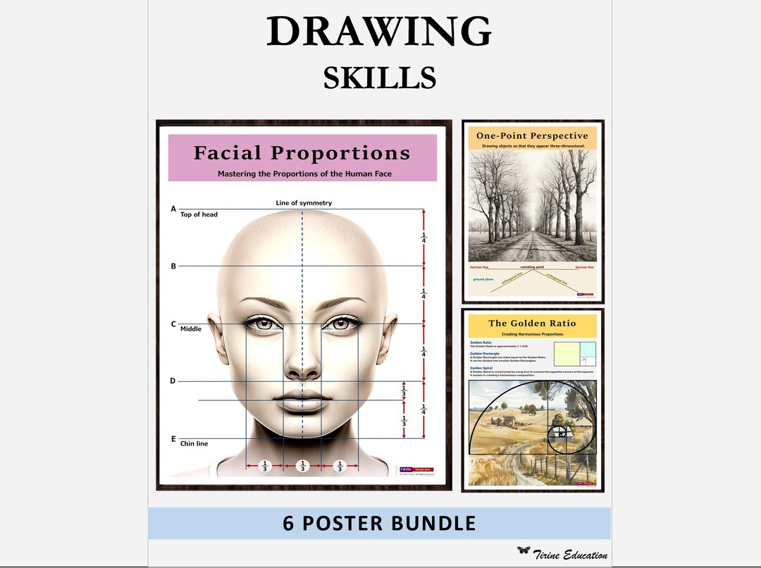Basic Drawing Skills Art Classroom Poster Set, Perspective, Proportions ...