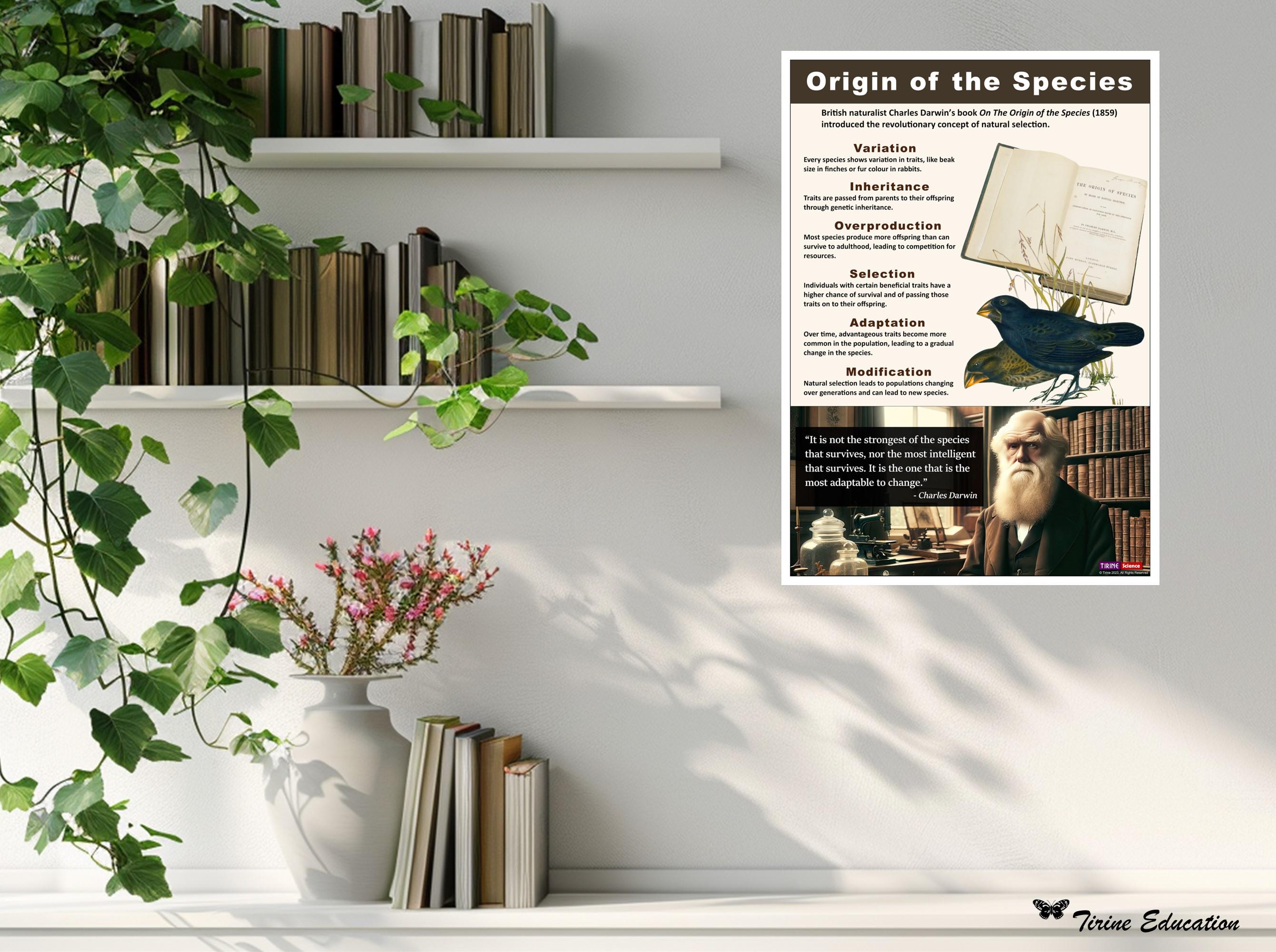 Charles Darwin, Poster, on Origin of the Species, Natural Selection ...