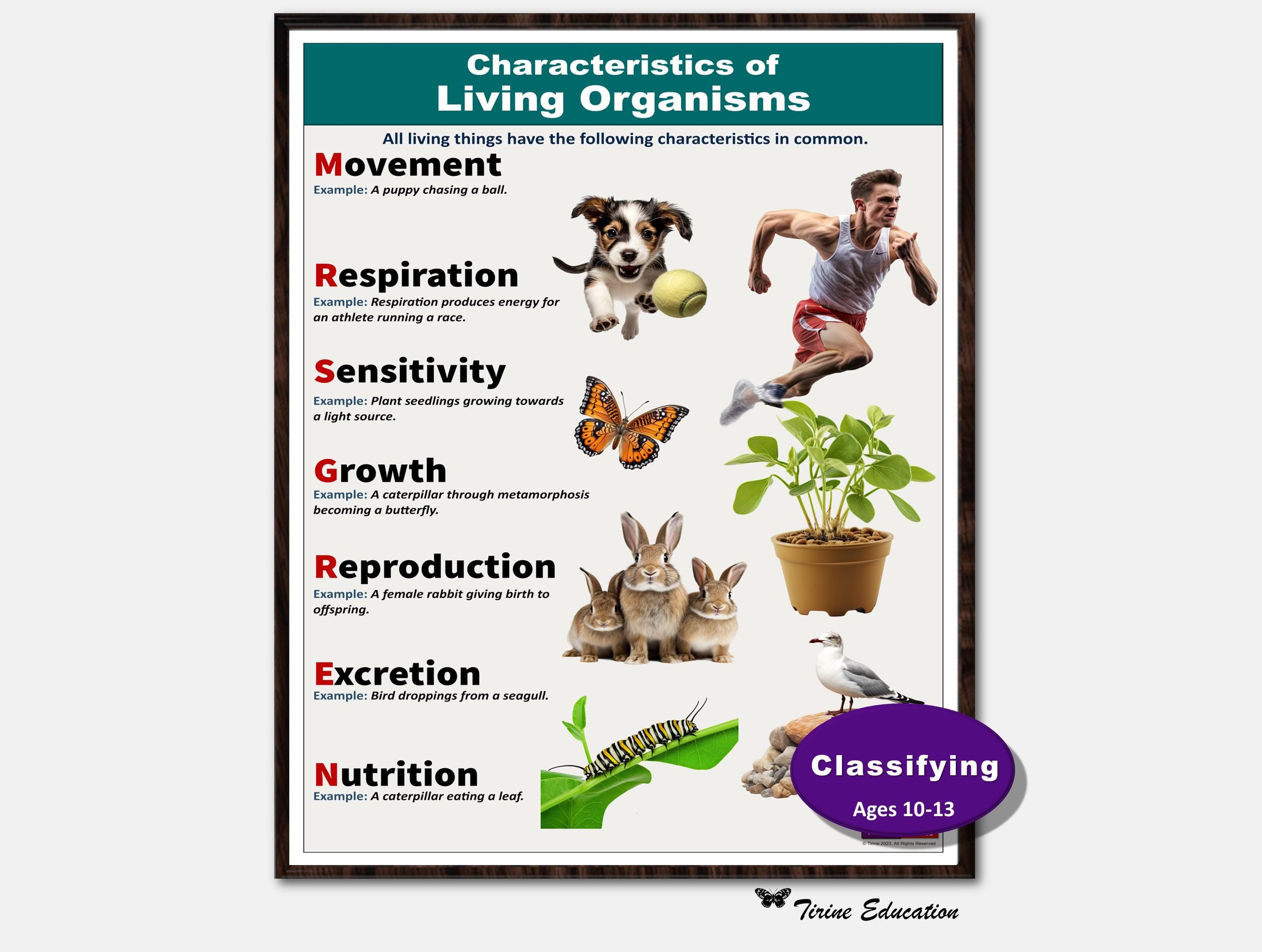 Characteristics of Living Organisms – MRS GREN Science Poster for ...