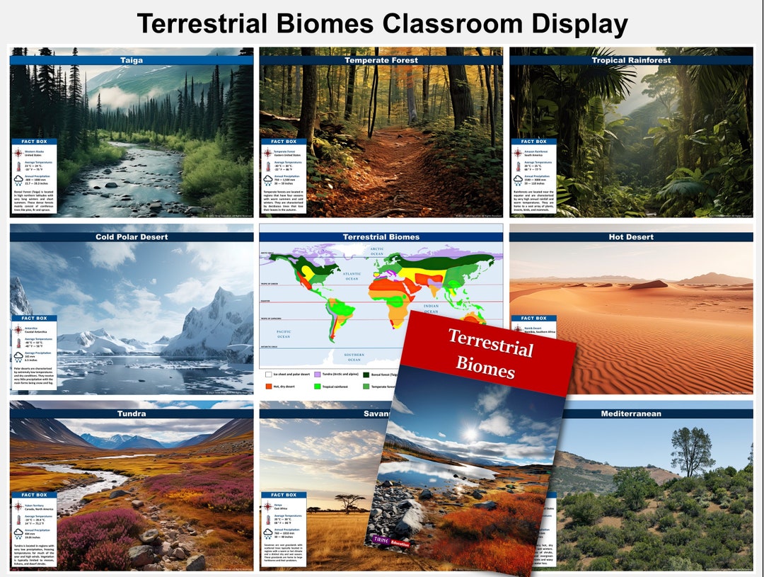 Terrestrial Biomes Classroom Display Set, Biology Posters, Middle and ...