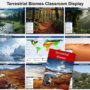Terrestrial Biomes Classroom Display Set, Biology Posters, Middle and ...