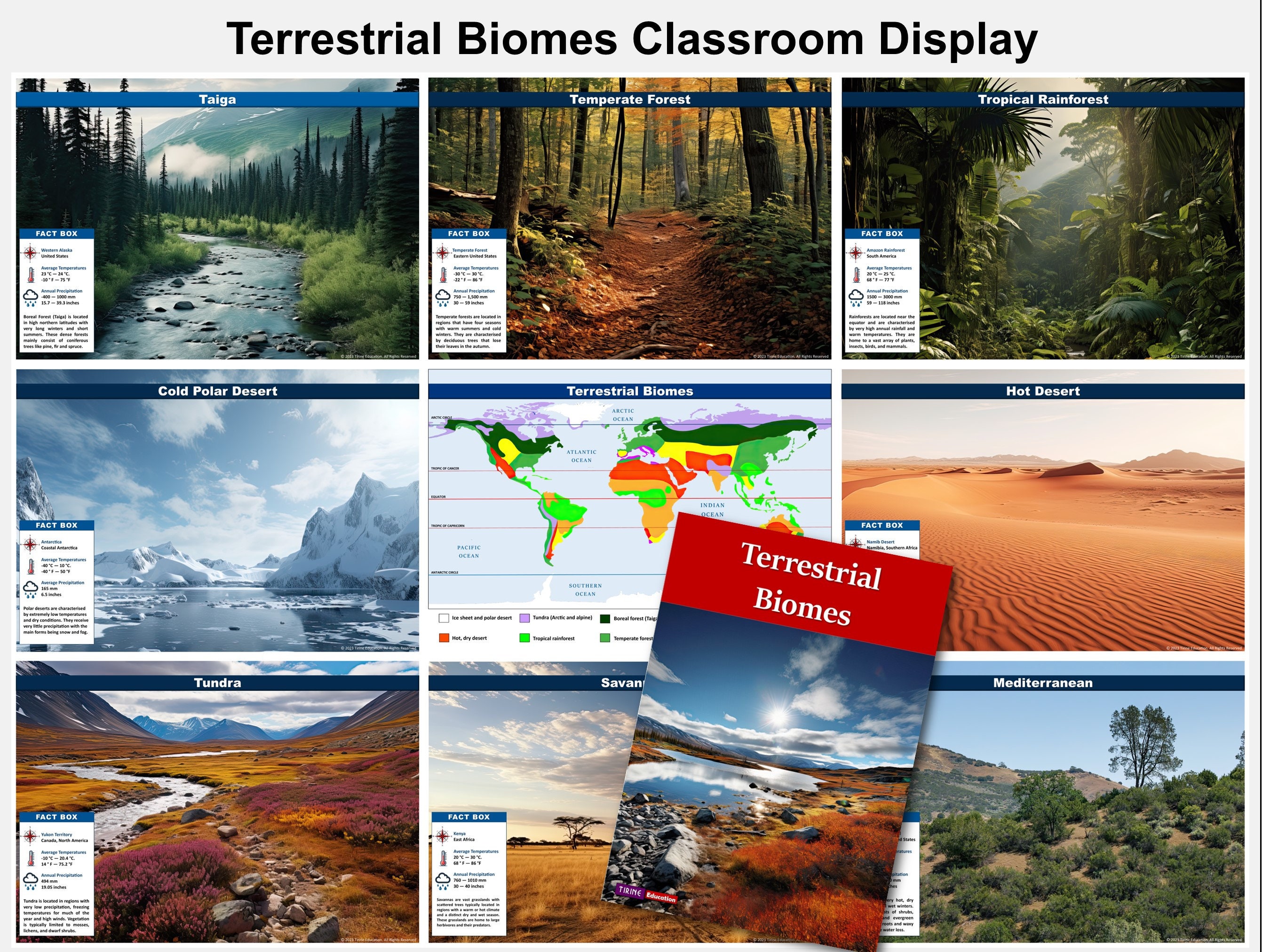 Biomes Poster Set, Biology/geography Posters, Middle/high School ...