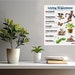 Living Things Poster Middle School Science Biology - Etsy