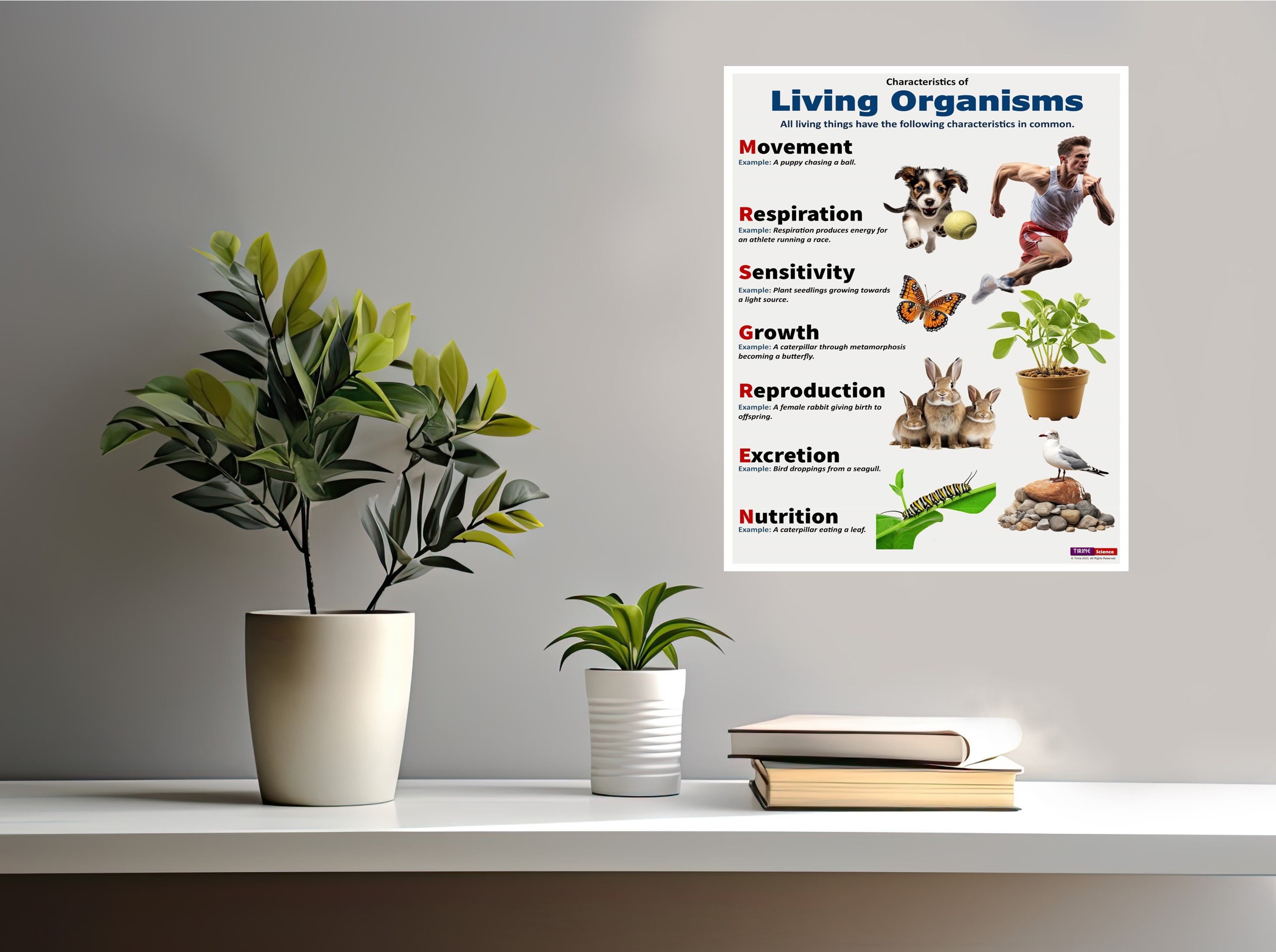 Living Things Poster Middle School Science Biology - Etsy