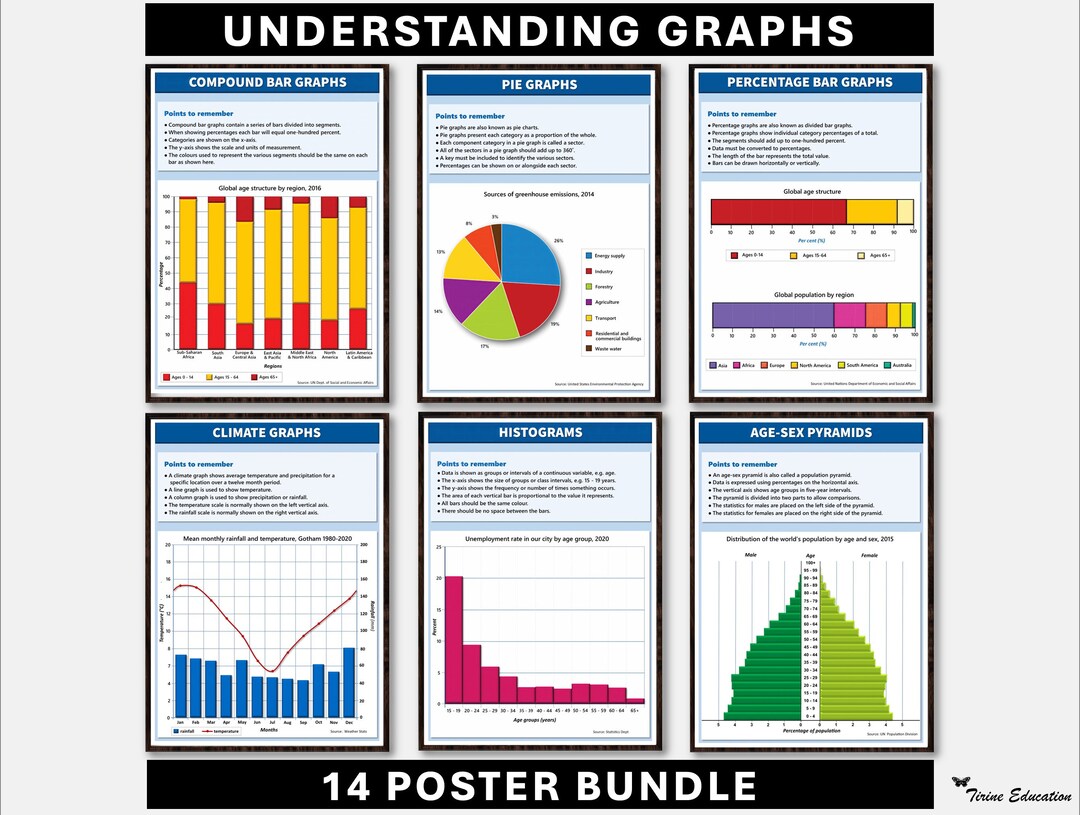 Understanding Graphs 14 Poster Set, High School Geography, Geography ...