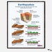 Earthquakes Earth Science Poster, Classroom Poster, Educational Poster ...
