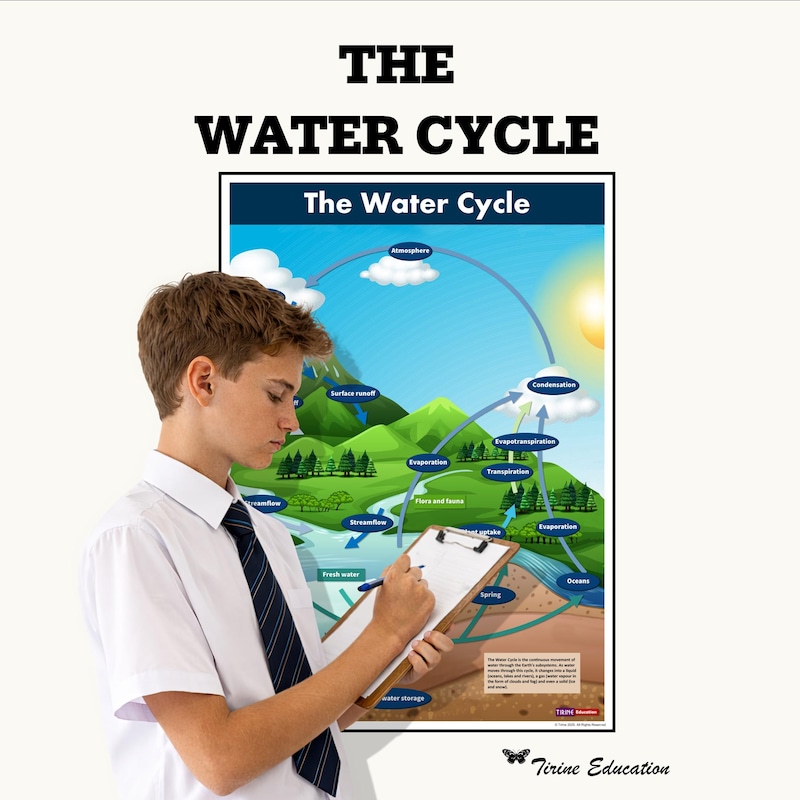 Water Cycle Poster - Etsy