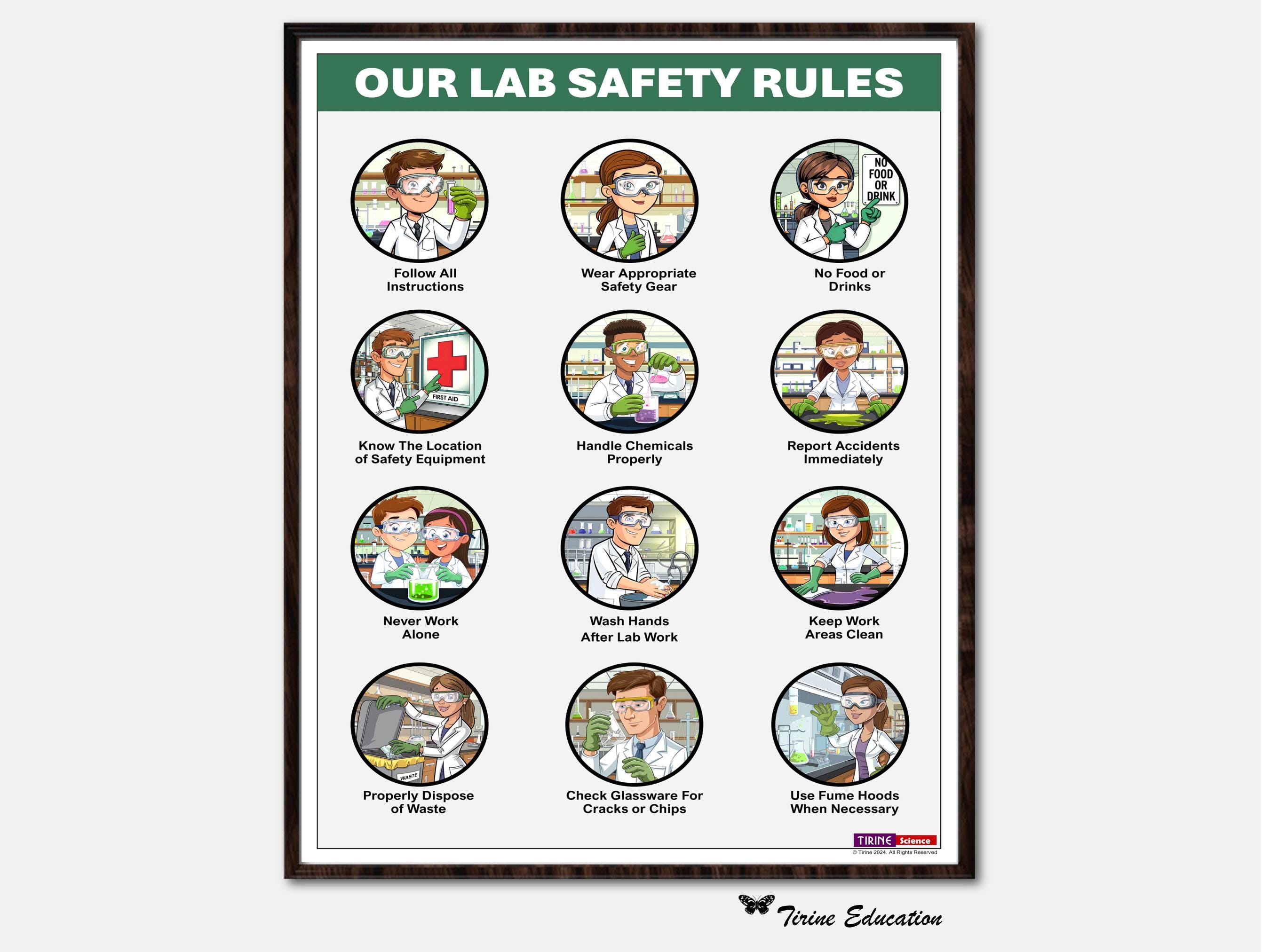 Chemistry Classroom Posters, Science Poster, Lab Safety Rules for ...