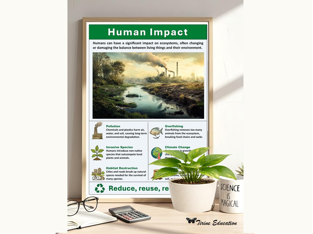 Environmental Education Poster, Human Impact on Ecosystems, Science ...