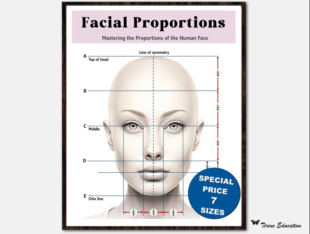 Drawing Faces Art Classroom Poster – Facial Proportions Guide ...