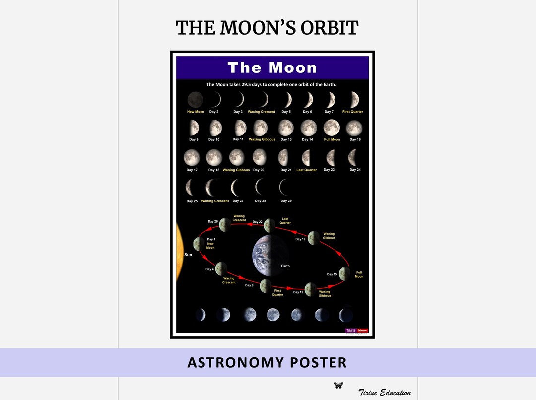 Science Poster, the Moon Phases, Lunar Cycle and Orbit, Middle School ...